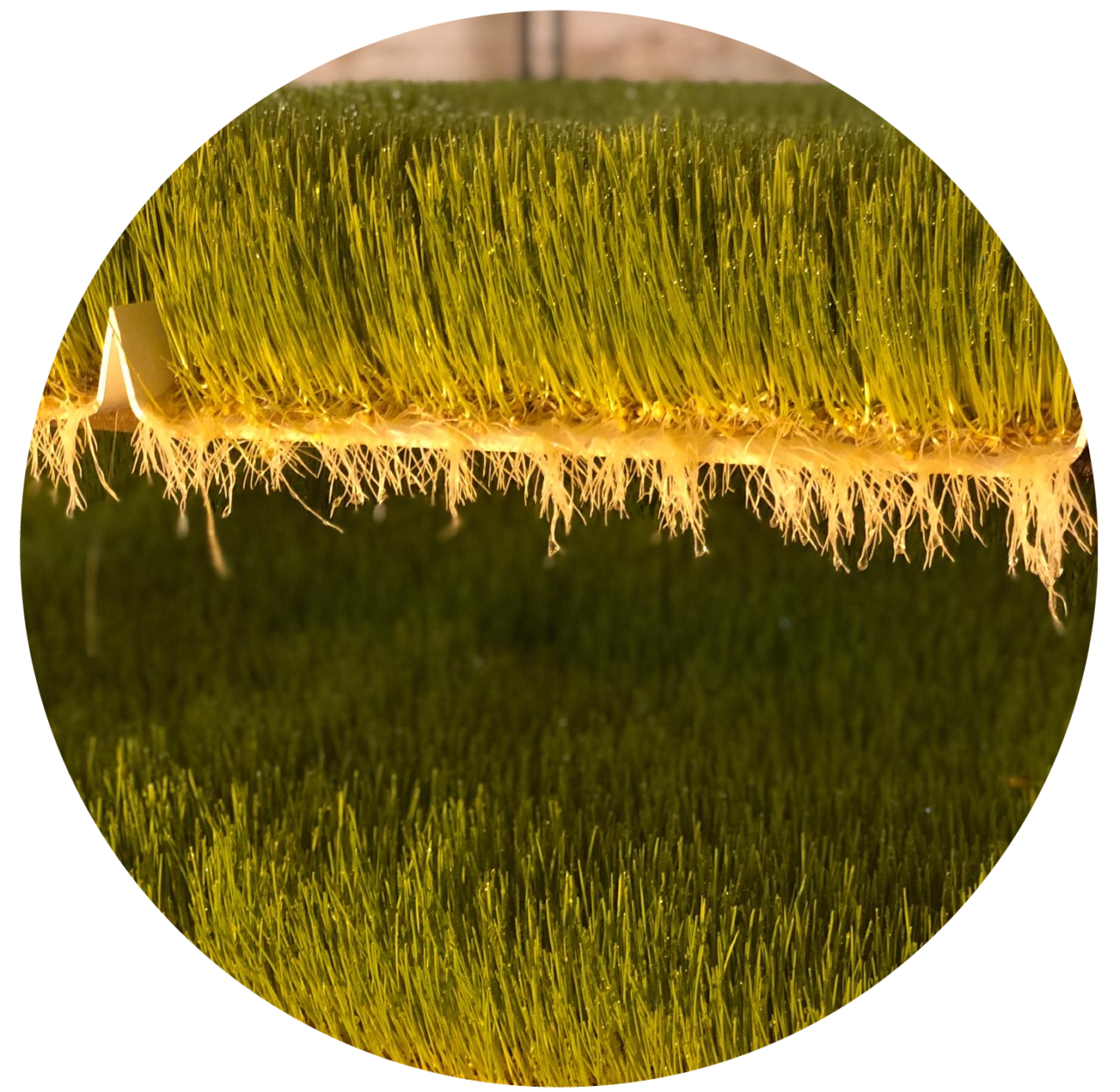 About Cope Grass Farm – Cope Grass Farm